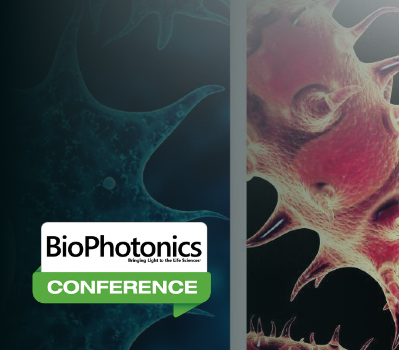 BioPhotonics Conference | Lightnovo